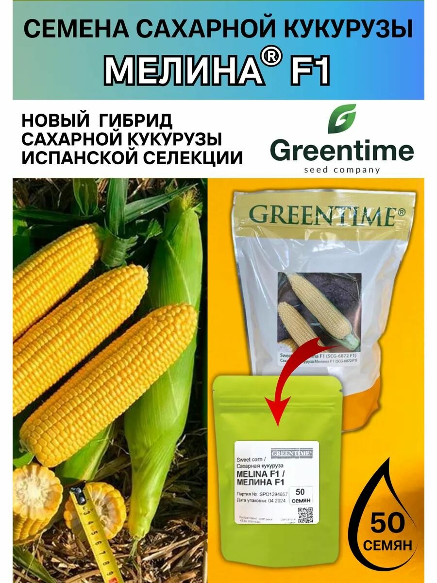 Профессиональные емена сахарной кукурузы Мелина F1 GREENTIME 50 штук