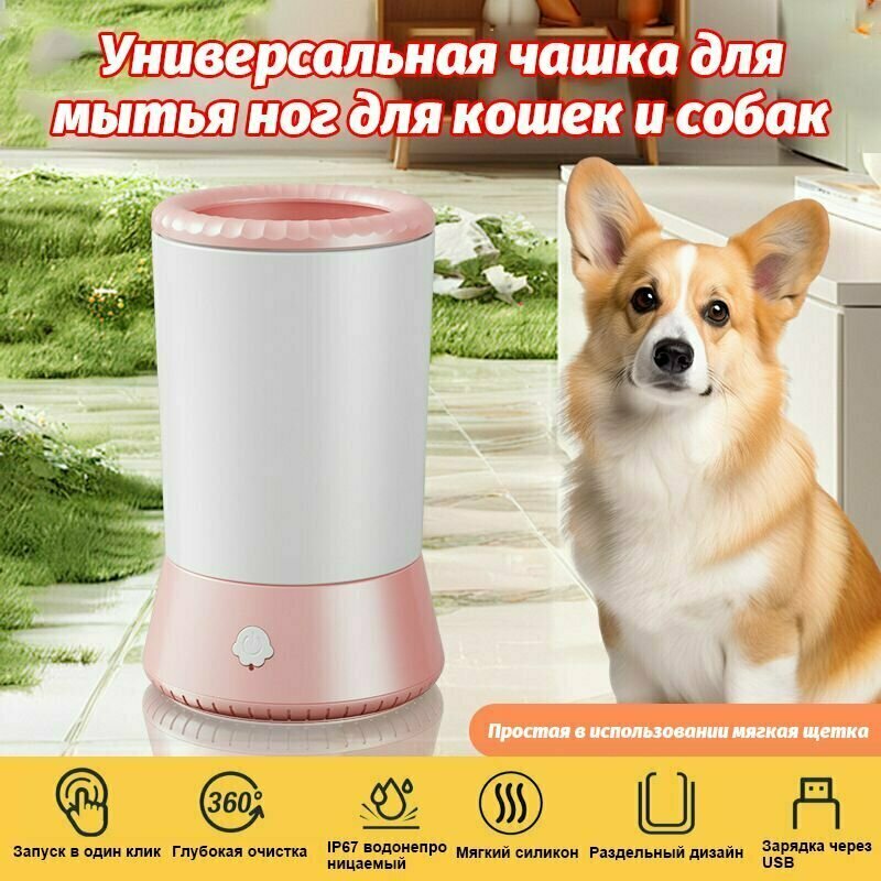Лапомойка
