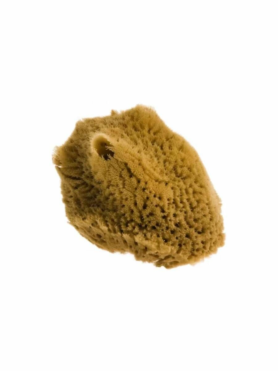 Спонж для лица натуральный