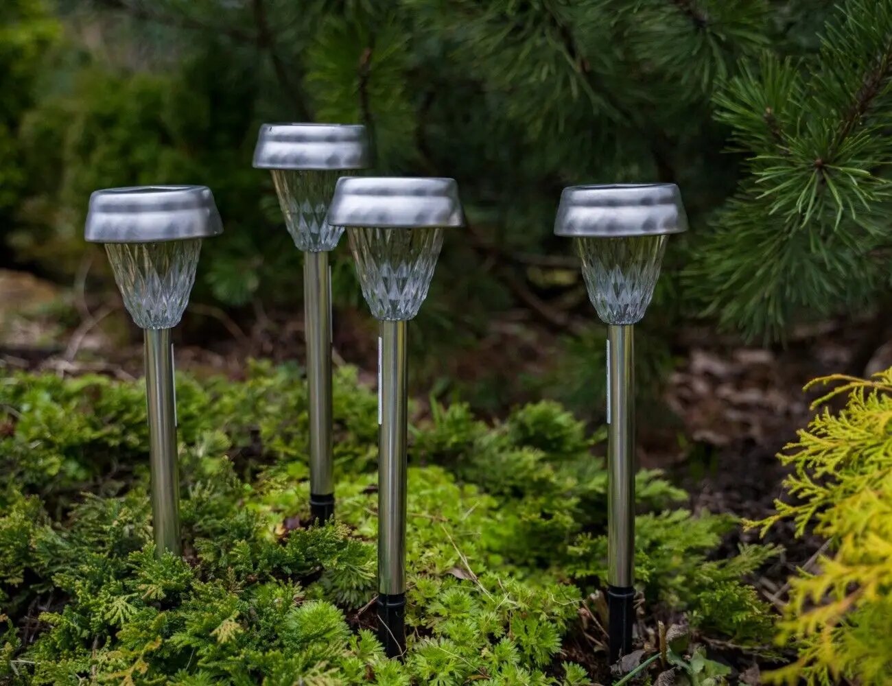 Садовые светильники Solar люкко на солнечной батарее, холодный белый LED-огонь, 24 см (4 шт.), Kaemingk (Lumineo)