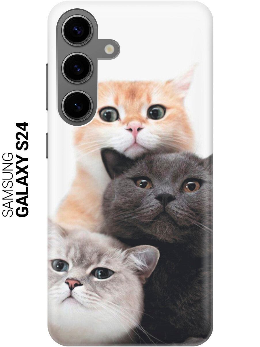 Силиконовый чехол на Samsung Galaxy S24 с принтом "Котики"