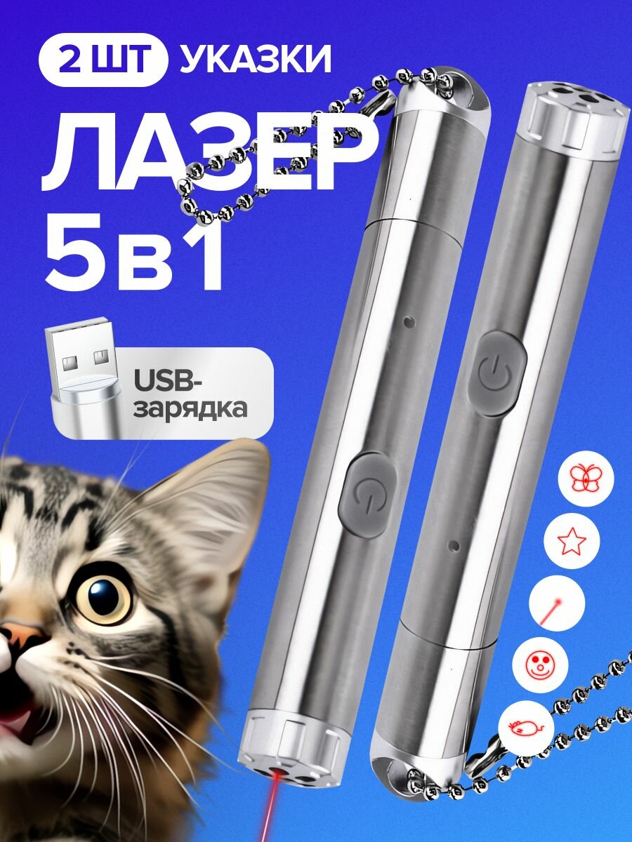 Лазерная указка 5 в 1 для кошек и собак с USB зарядкой, 2 шт