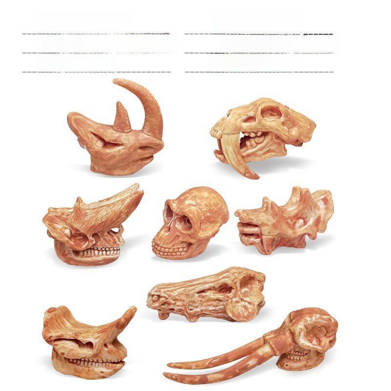 Анимационный модель череп животного пвс статическая для учебных и домашних целей стильб