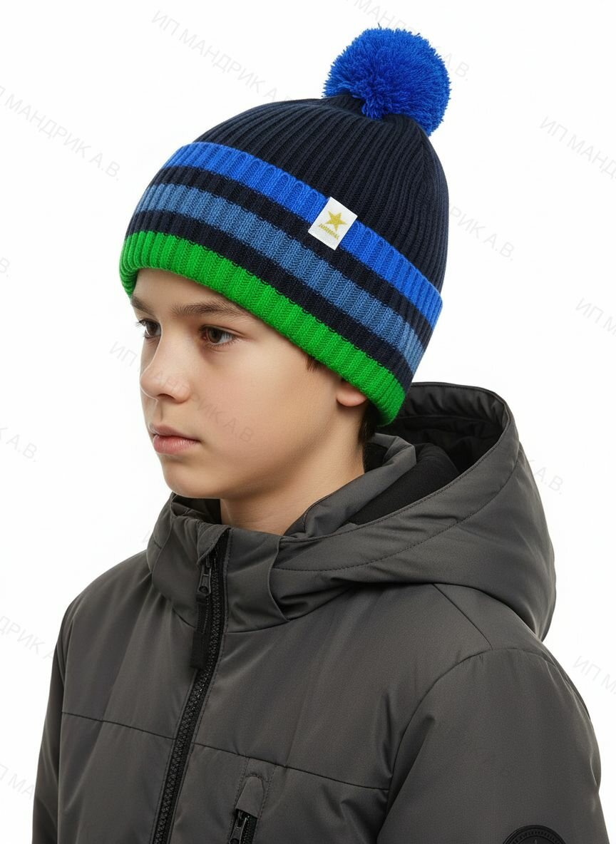 Шапка-бини Базовая коллекция для мальчиков