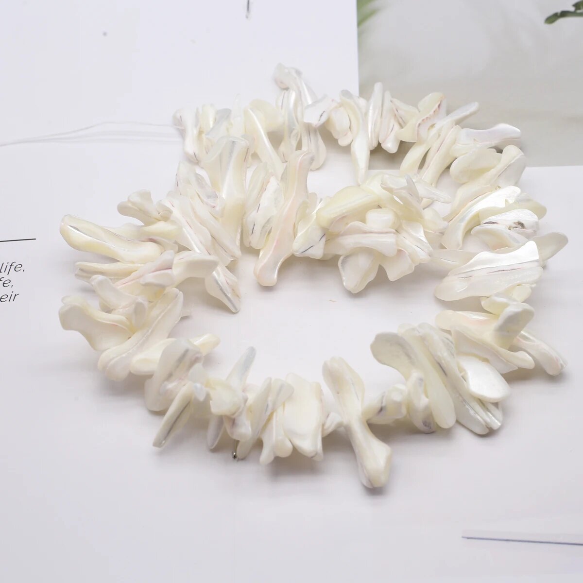 Натуральные ракушки бусины 18-25 мм Белый, белый