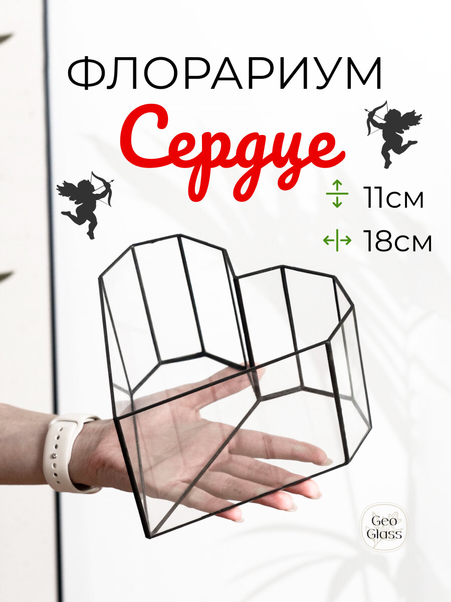 Geo Glass: Прозрачное кашпо , горшок для цветов , ваза для флорариума "Сердце"