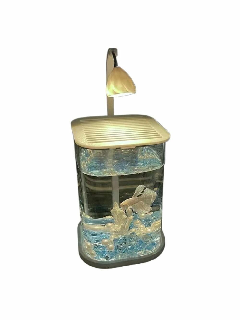 Гостиная с небольшим стеклянным аквариумом для рыб