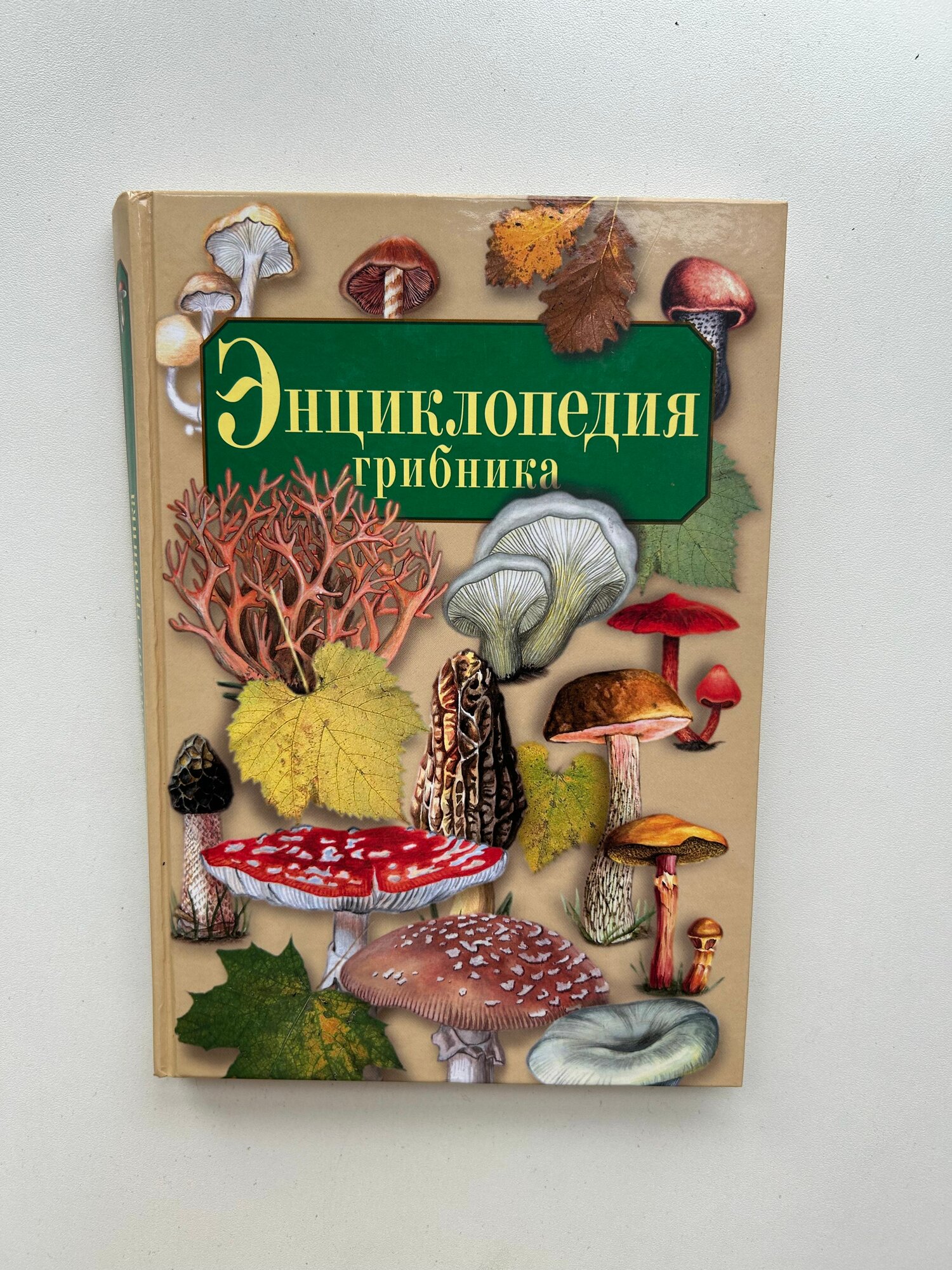 Энциклопедия грибника. Издание 2004 года