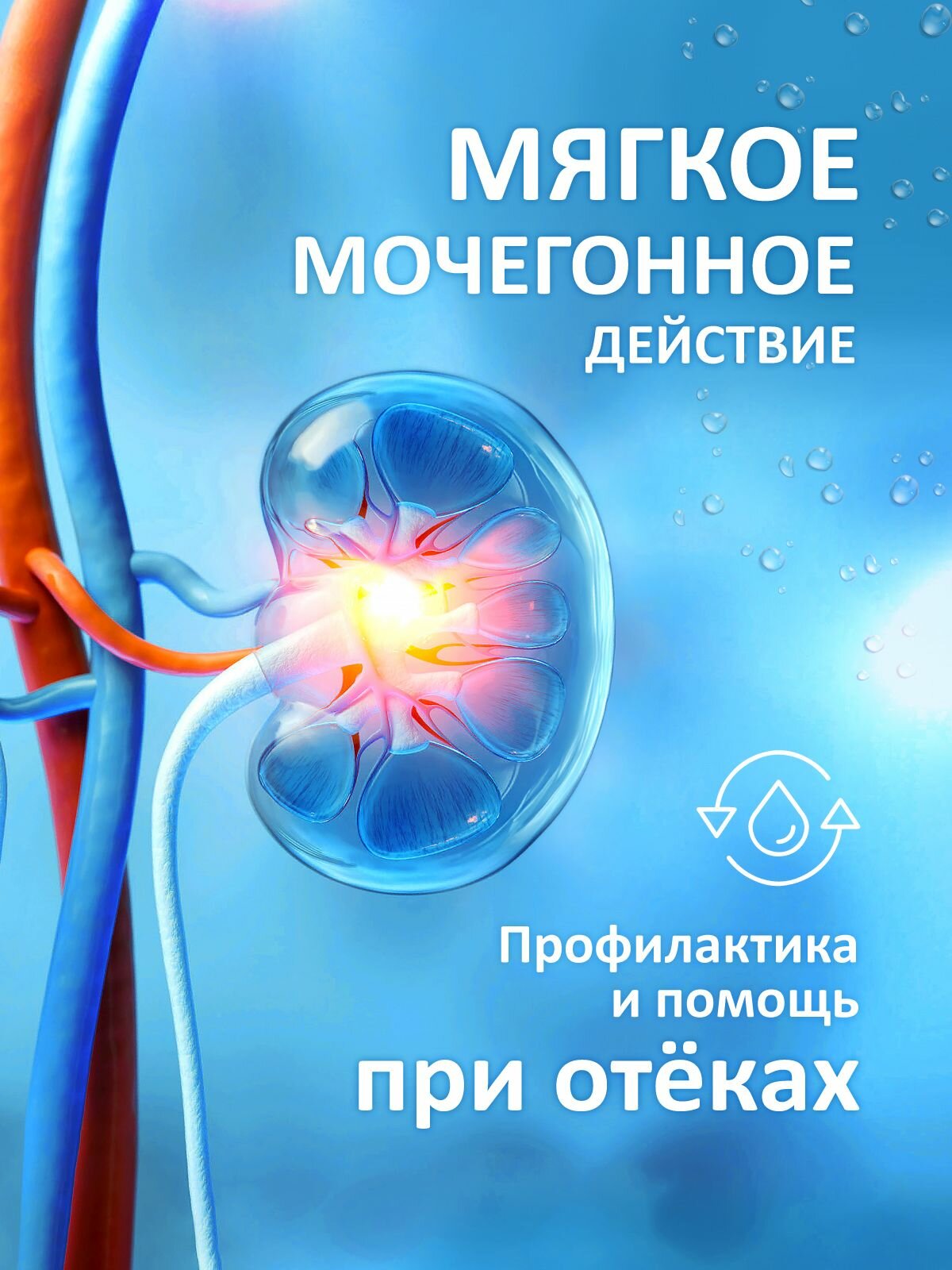 Для почек Нефросан золототысячник, любисток, розмарин, витамины А и Е. БАД для беременных и кормящих, 30 капсул — фото 1
