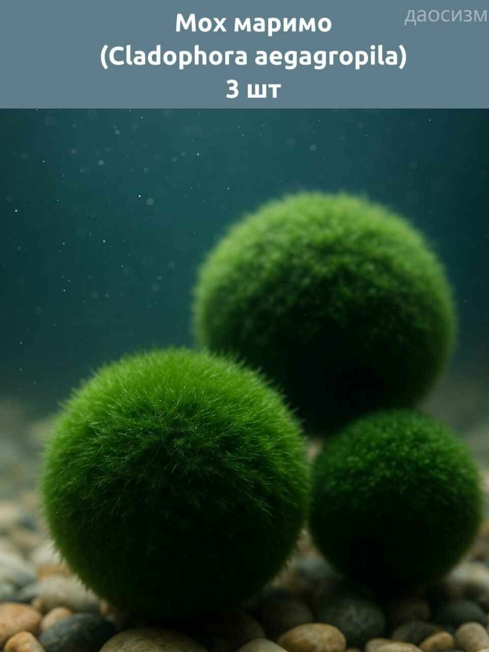 Декорация для аквариума