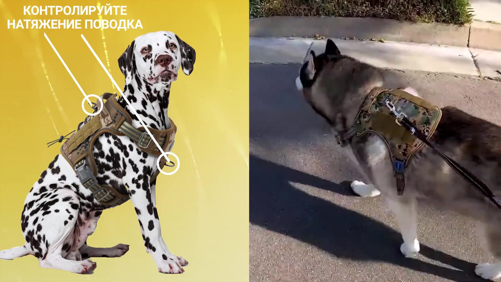 Шлейка — фото 1