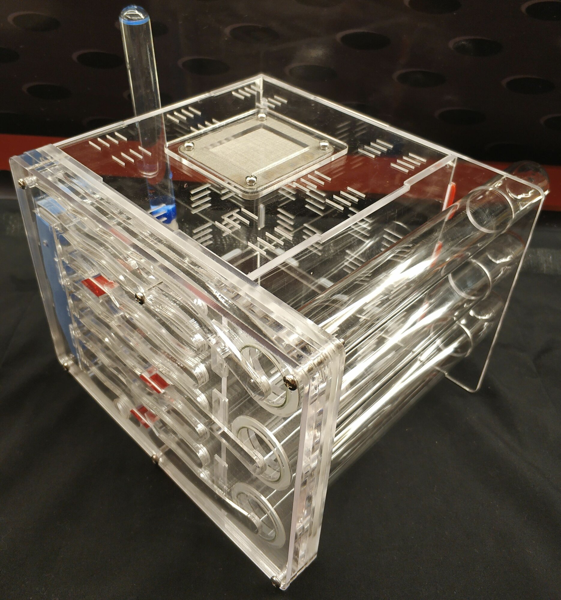 Муравьиная ферма Tube Acrylic hybrid 3х25 мм. AntLife. r в собранном виде + антипобег + подарок!