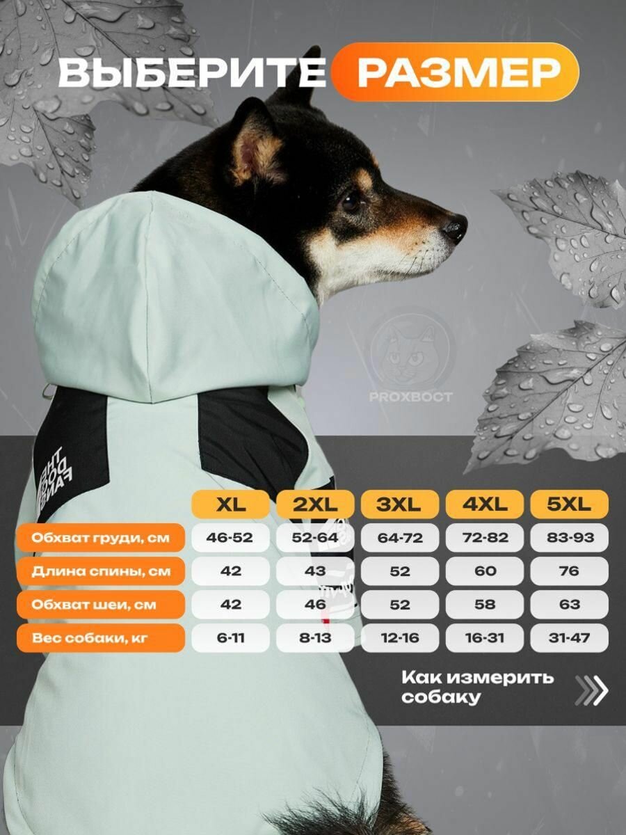 Одежда для животных — фото 1