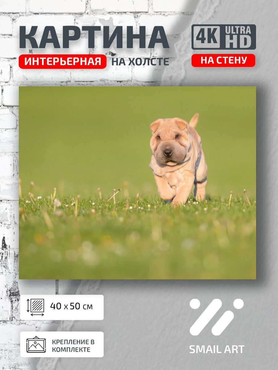 Картина на холсте интерьерная 40 на 50 на стену Лужайка Mood для гостиной атмосфера декор