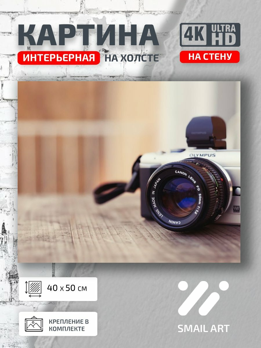 Картина на холсте интерьерная 40 на 50 на стену Фотоаппарат Olympus для гостиной атмосфера