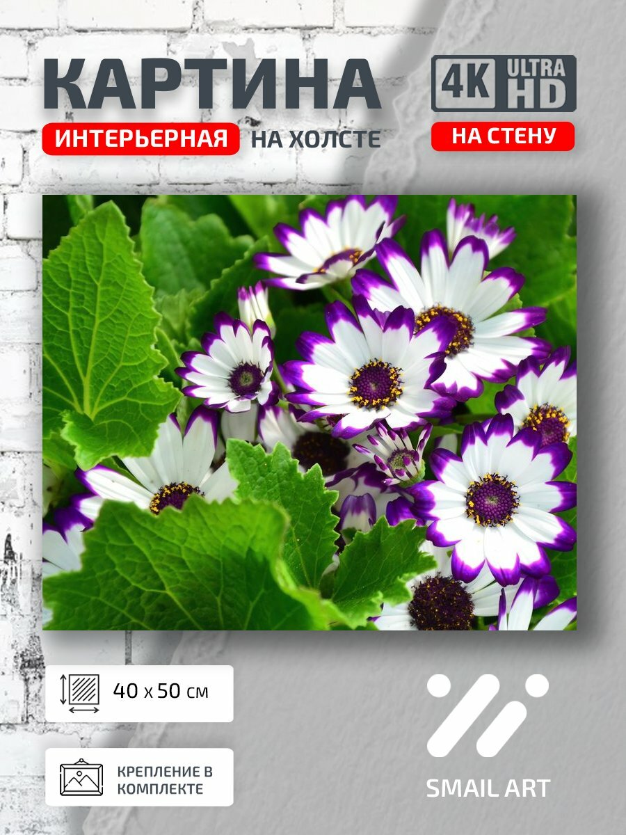 Картина на холсте интерьерная 40 на 50 на стену Цветочки Mood для гостиной атмосфера декор