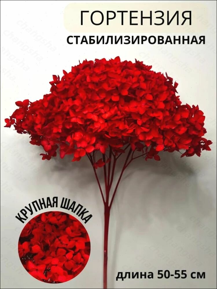 Стабилизированные цветы в стекле Гортензия, 55 см, 100 гр, 1 шт