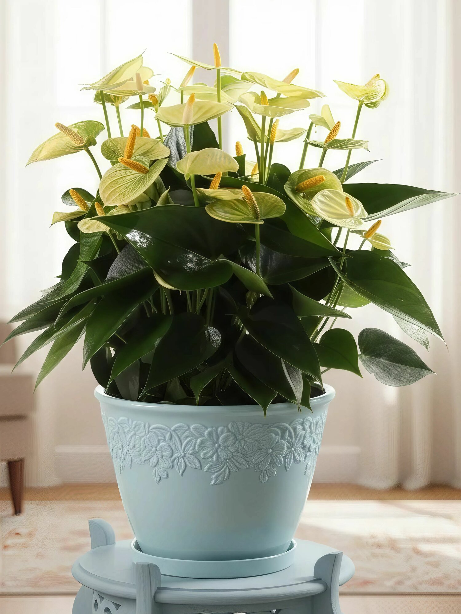 Антуриум GREEN TOWN "Ванилла", декоративно-цветущий, живое растение