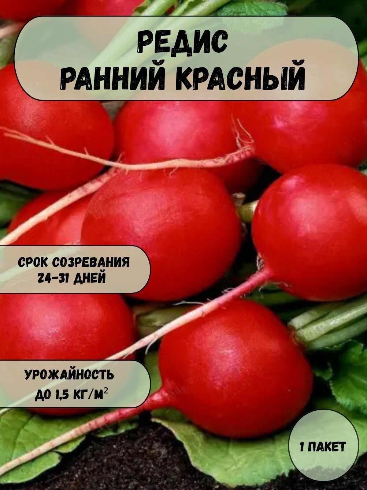 Редис Ранний красный семена 10 шт