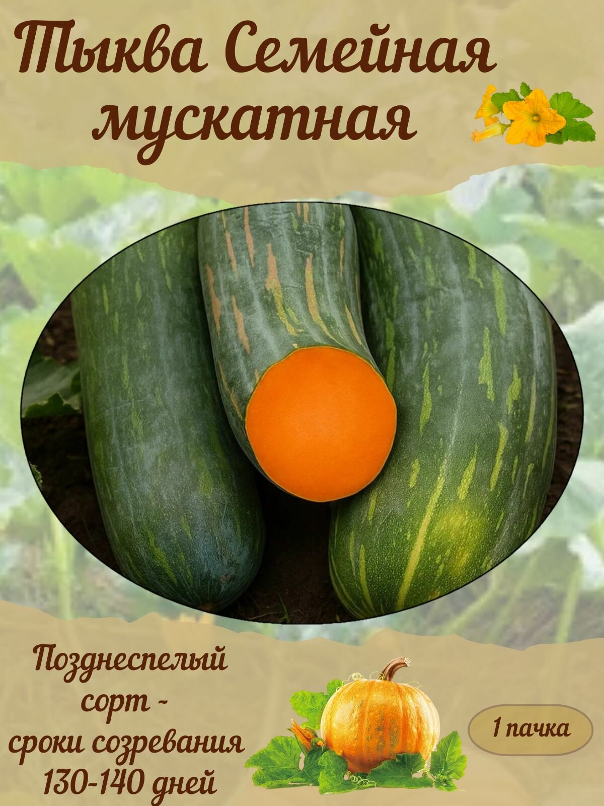 Тыква Семейная мускатная, семена, 10 шт.