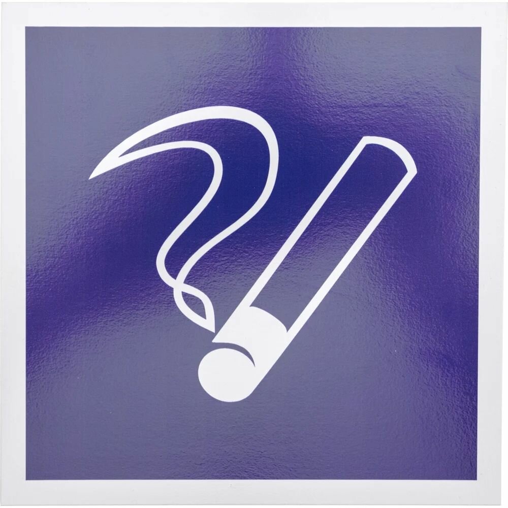 Табличка REXANT ПВХ-информационный знак, Место курения, 200х200мм 56-0033-2