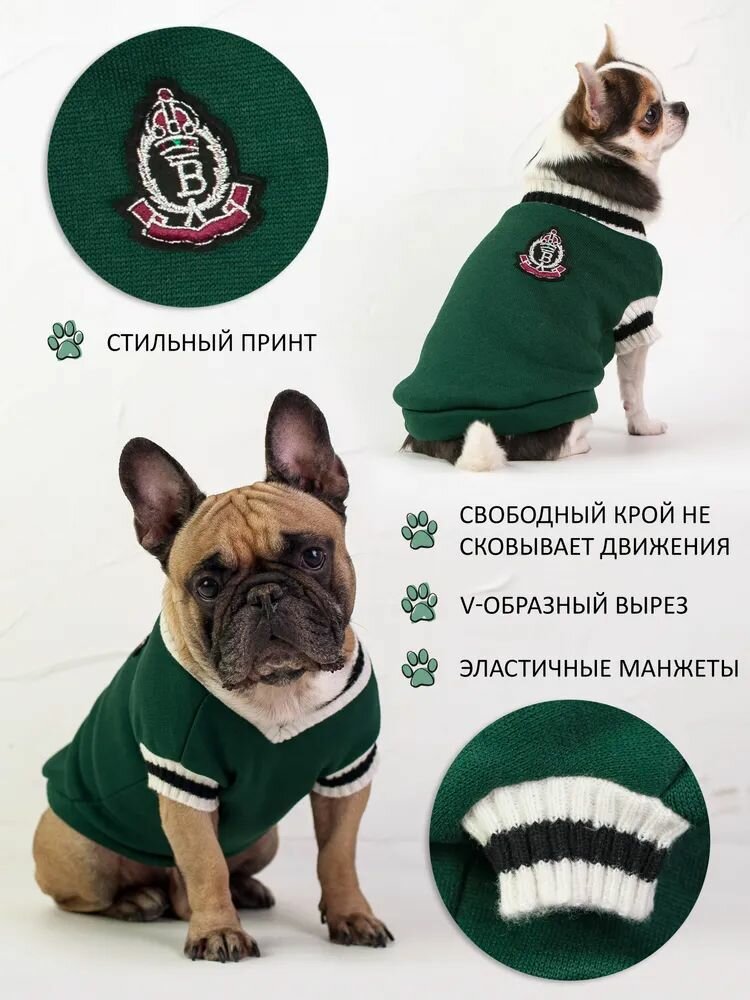 Одежда для животных — фото 1