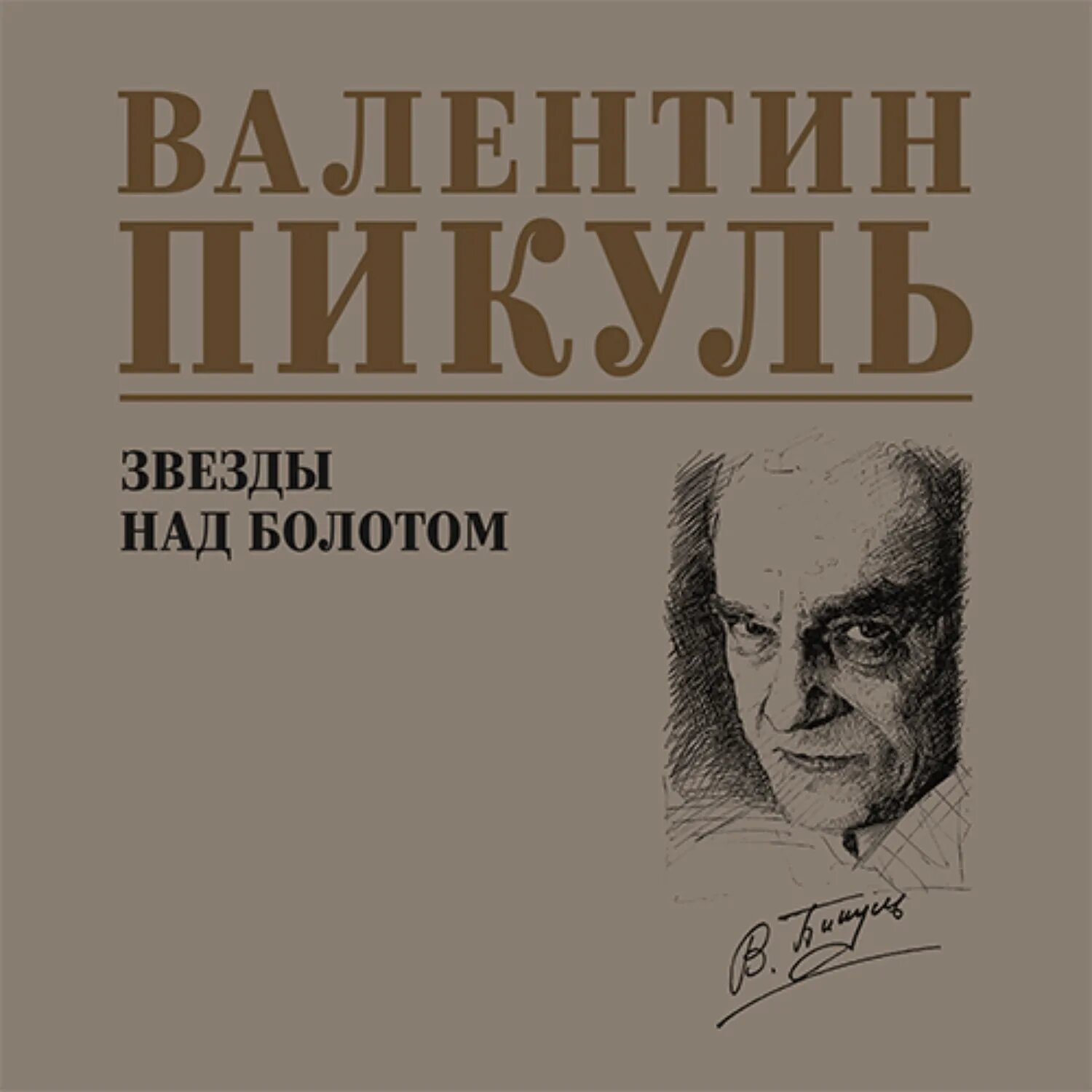Звезды над болотом [Аудиокнига]