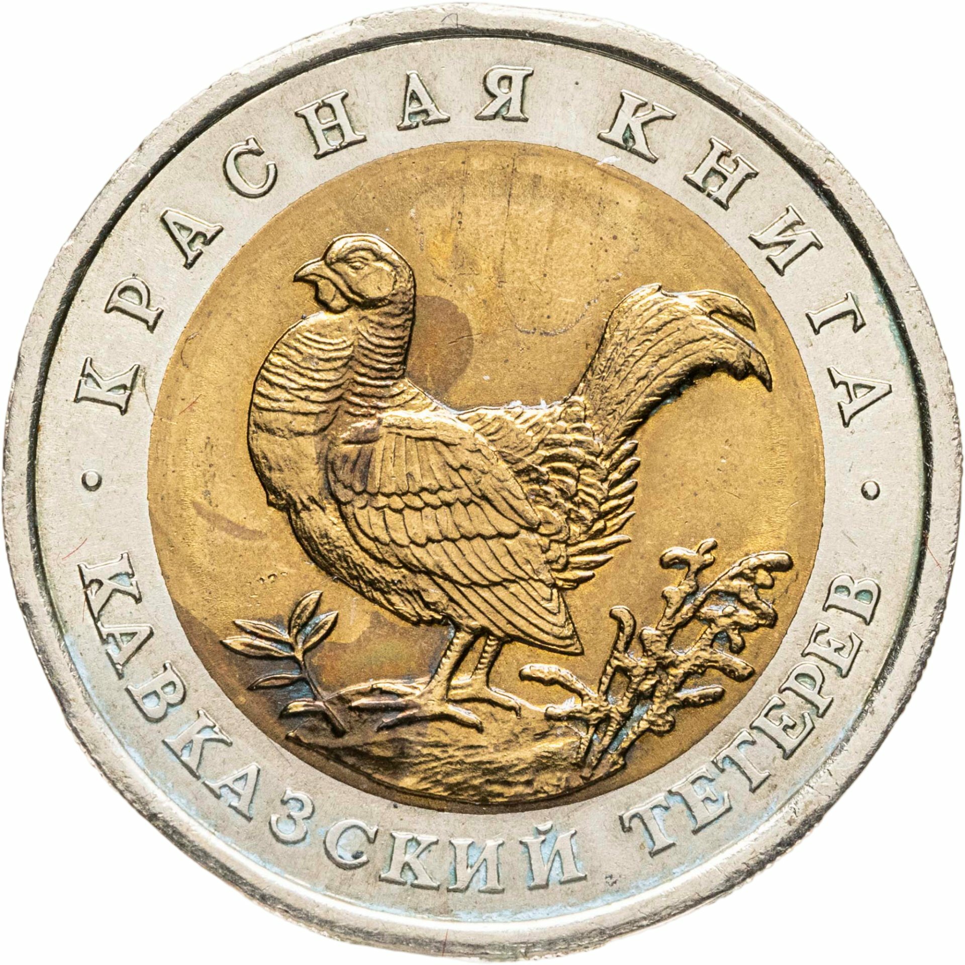 50 рублей 1993 ЛМД кавказский тетерев, Биметалл, в сохранности XF