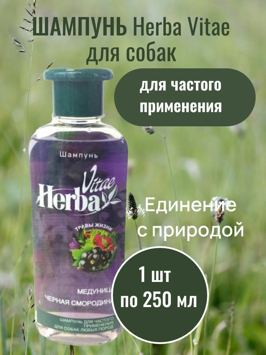 Шампунь для собак Herba Vitae для частого применения, 250 мл