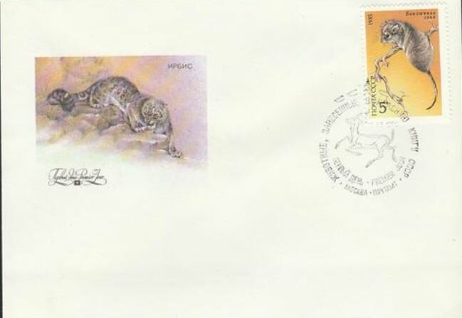 КПД со СГ конверт Ирбис. Животные, занесенные в Красную книгу СССР 1985 с маркой 20 коп. Каракал 1985 год