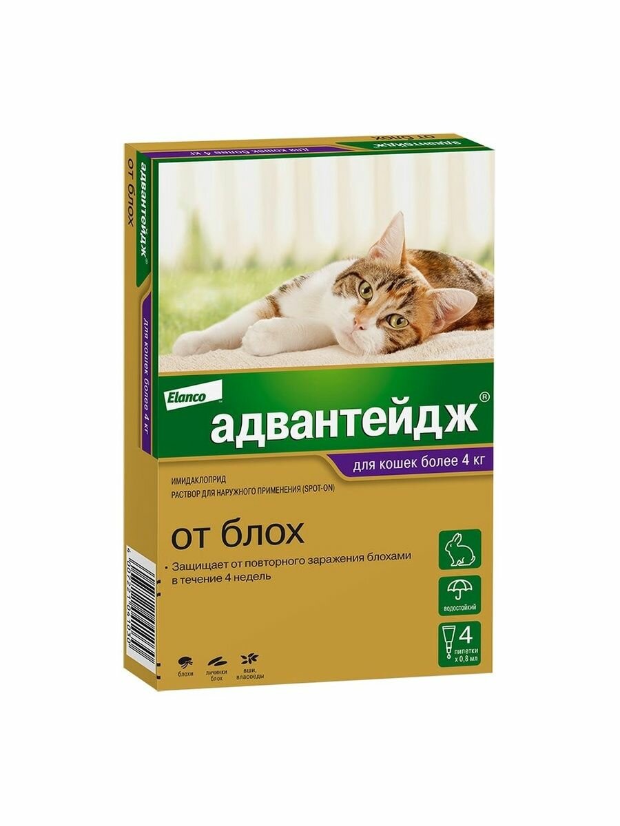 Адвантейдж 80 Капли от блох для кошек свыше 4кг 0,8мл (4 пипетки)