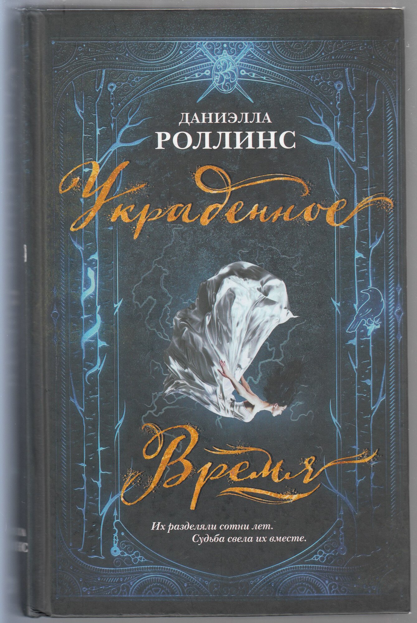 Даниэлла Роллинс. Украденное время
