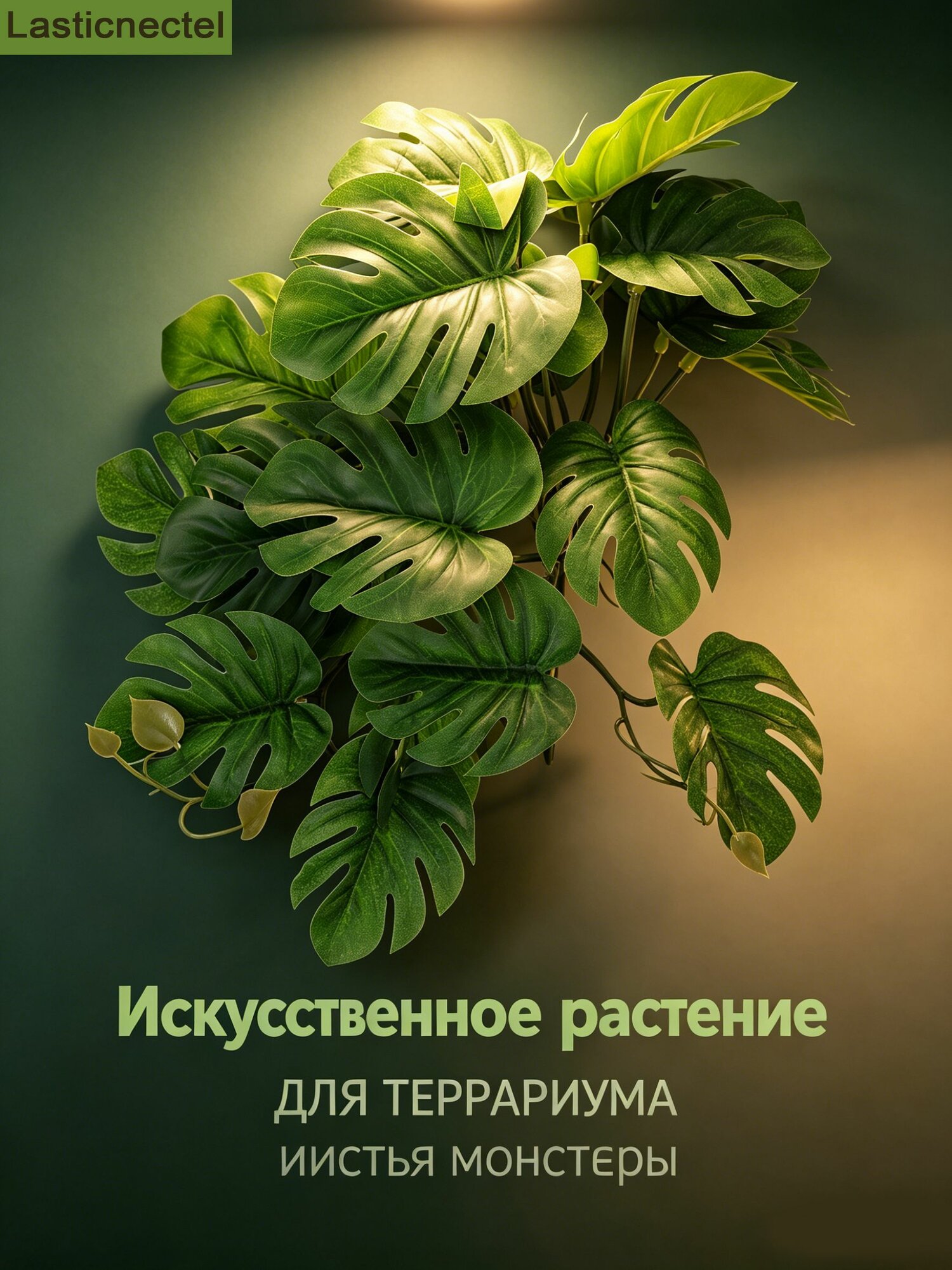 Террариум