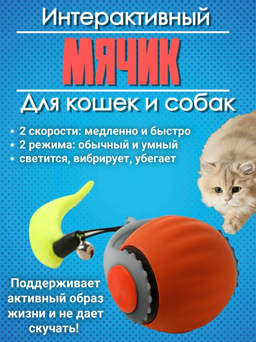 Умный мяч для кошек. Мячик для собак мелких пород