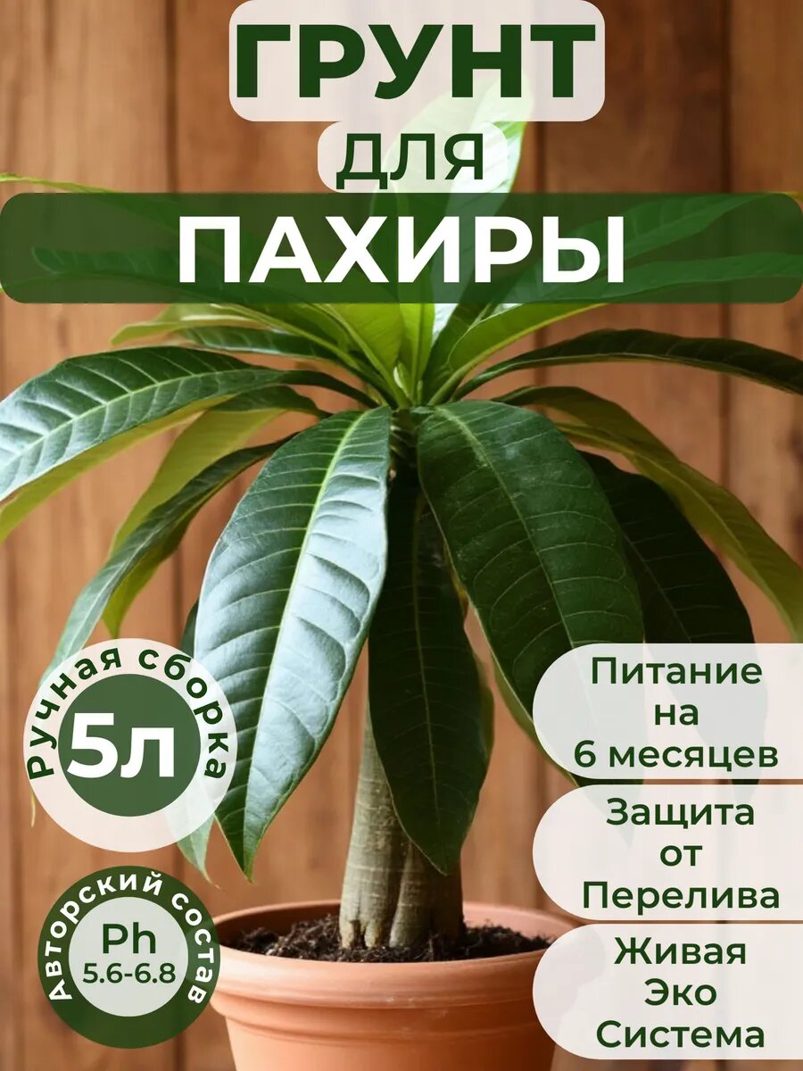 Готовый авторский грунт для Пахиры премиум 5 литров