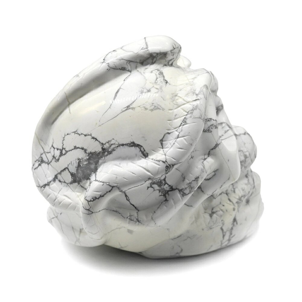 Череп из кахолонга "говлит" 89*65*79мм, 556г.