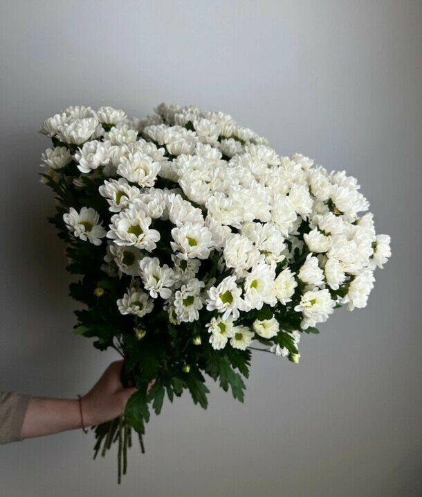 Букет Well Flowers, 15 кустовых хризантем, круглый, на стеблях, букет свежих цветов