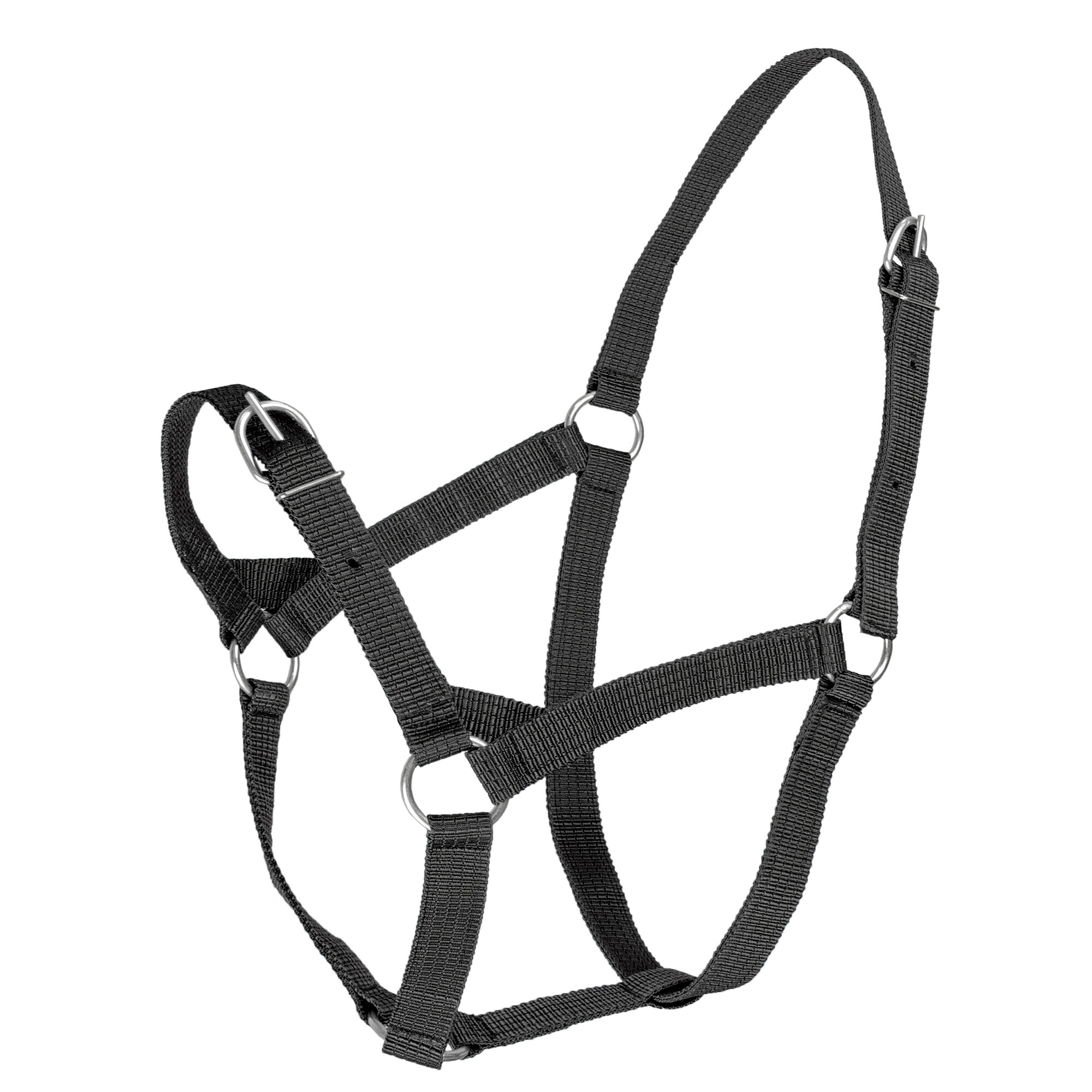 Недоуздок для лошадей двойной нейлон, недоуздок черный размер Full REITER