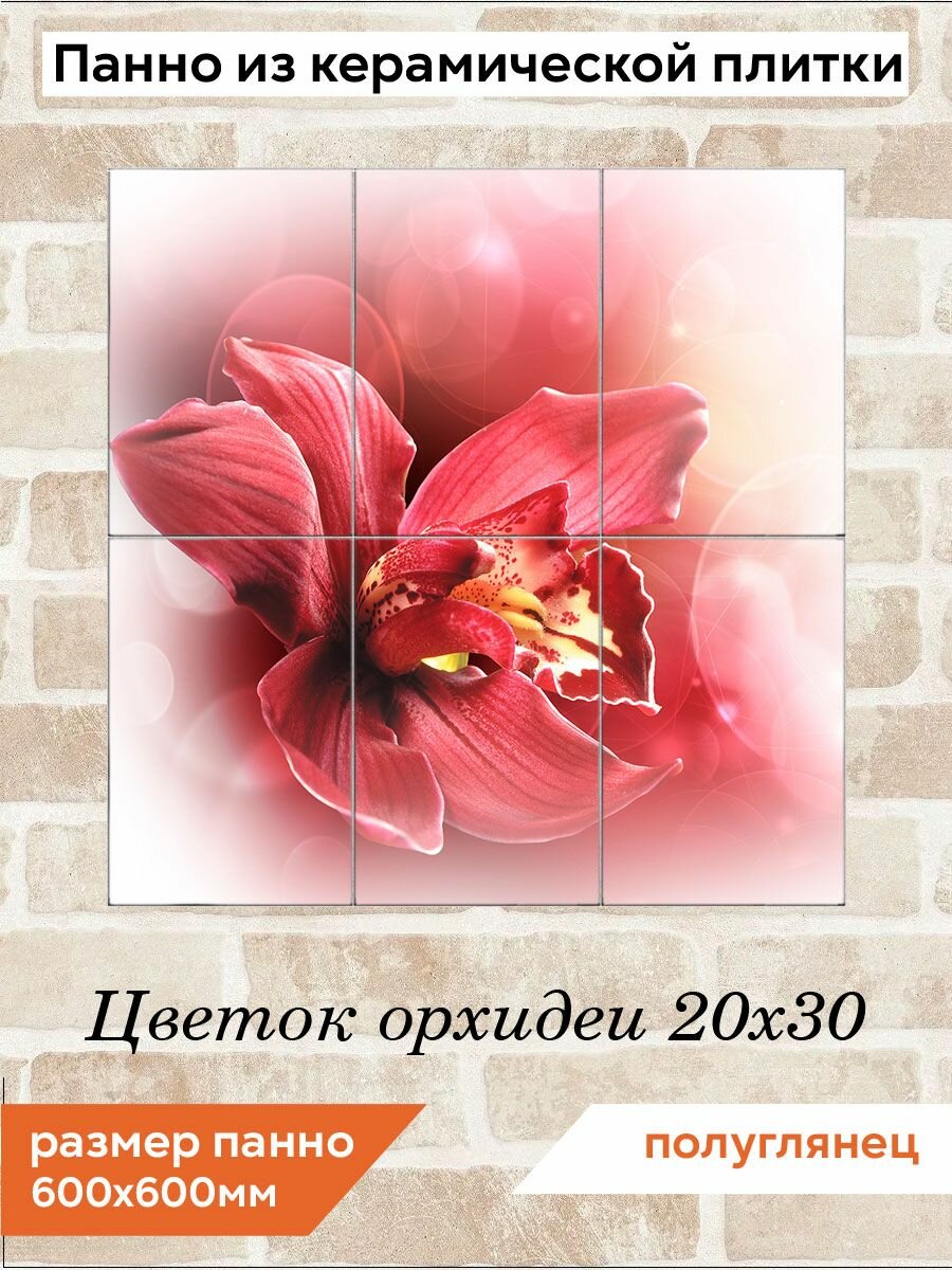 Панно из плитки Fres-co "Цветок орхидеи 20х30", керамическое, декоративное, полуглянцевое, 60х60 см