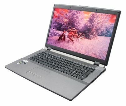 Ноутбук DEXP Ares E111 (1920x1080, Intel Core i7 2.5 ГГц, RAM 8 ГБ, HDD 1000 ГБ, GeForce GTX ...