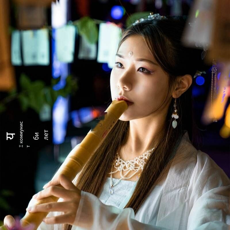 Флейта сякухати/импортирована из Японии/5-луночная D-образная мелодия-l