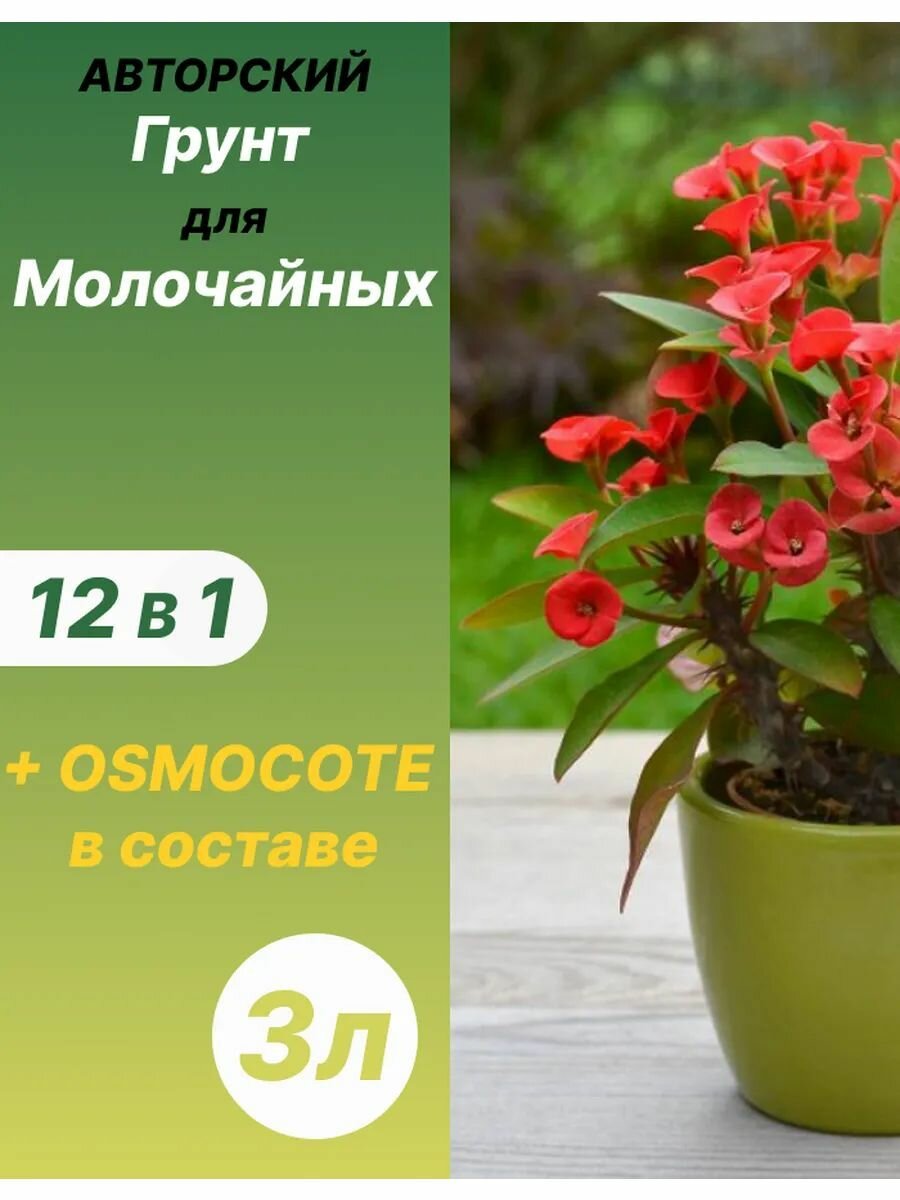 Грунт для Молочайных 3л готовый