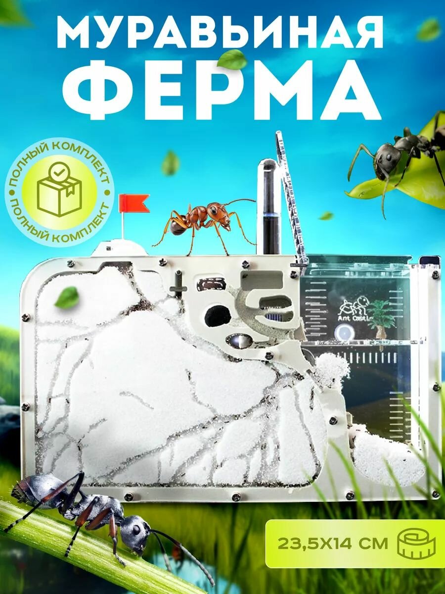 Муравьиная ферма