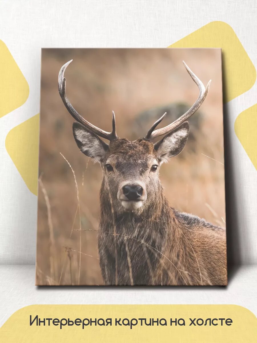 Картина на стену интерьерная Олень 45х60