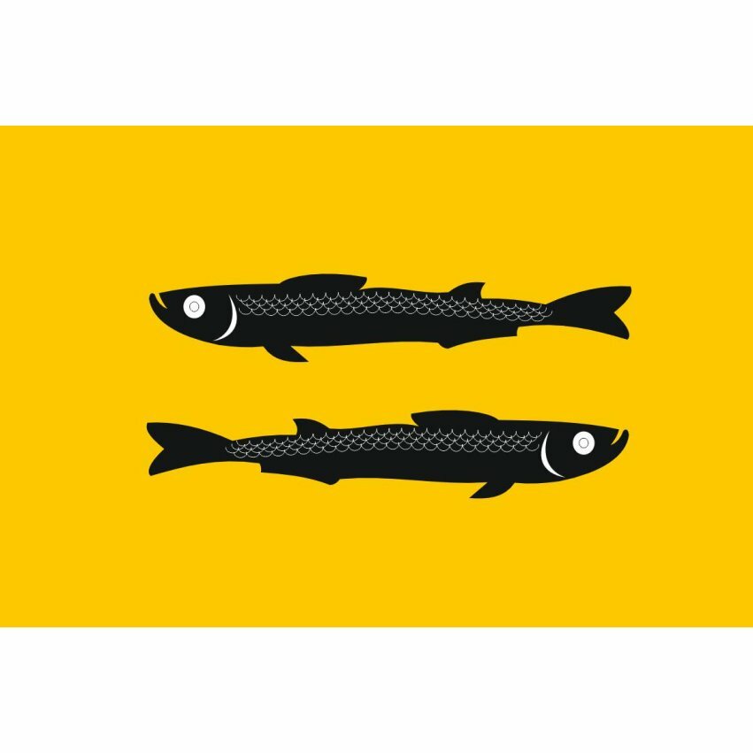 Флаг Переславля-Залесского 135x90 см.