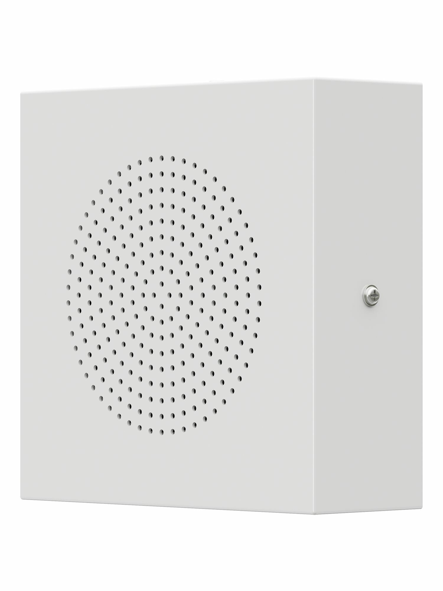 Настенный громкоговоритель ROXTON WS-06T