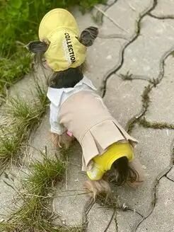 Панама Collection желтая для собак, разм S