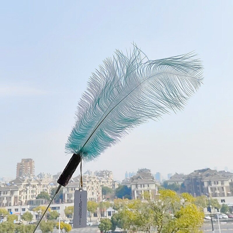 Кошачья игрушка супер-длинный стек с куриным хвостом/страусиные перья. Сменная головка из страусиных перьев,