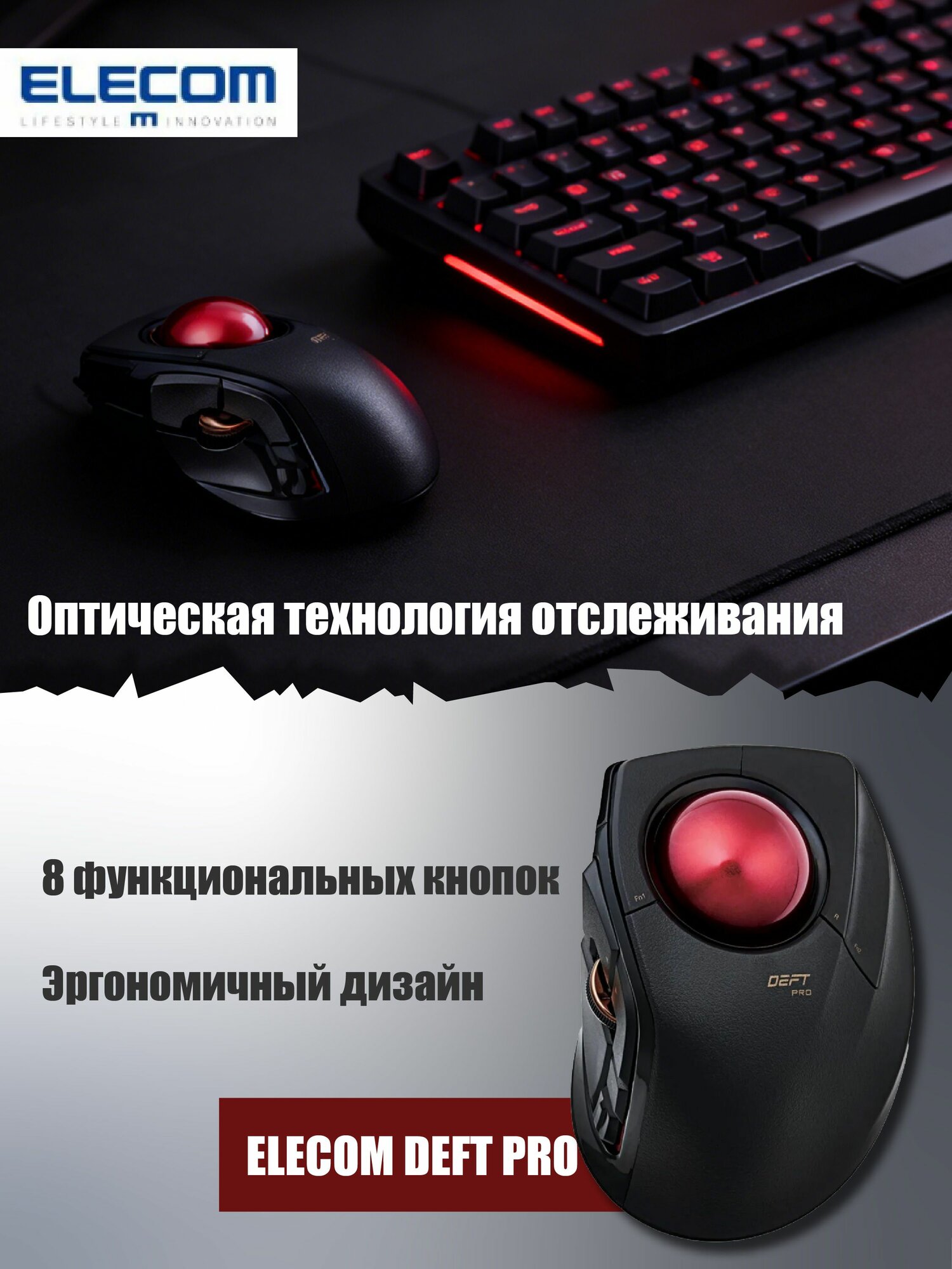 Мышь