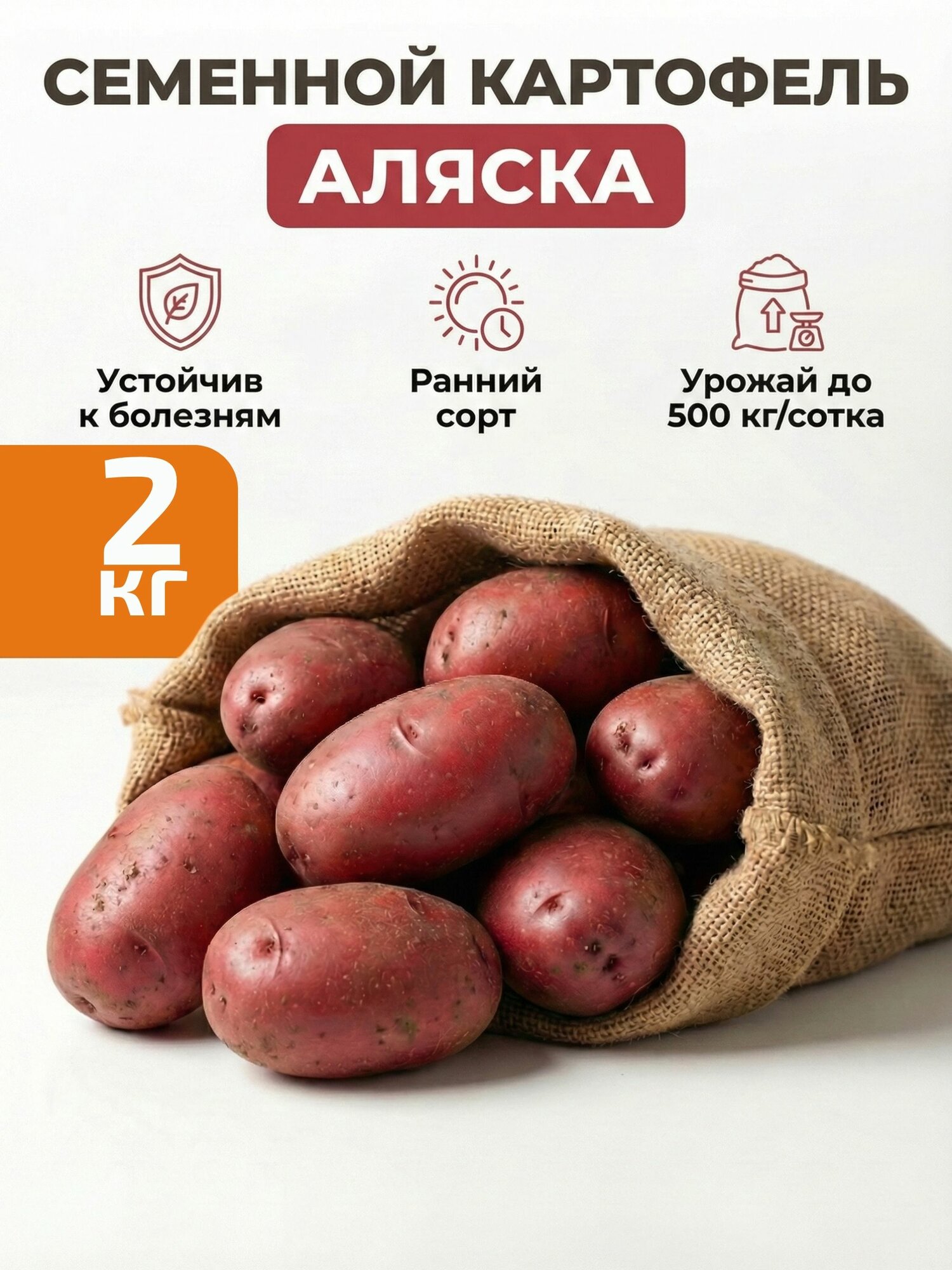 Картофель семенной Аляска 2 кг клубни на посадку ранний скороспелый сорт для жарки, салатов, супов